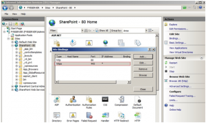 How to Enable SSL Web Sites in IIS 7 : BoostSolutions