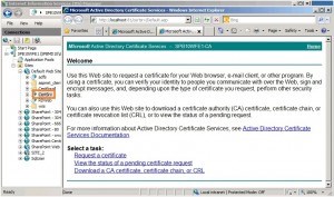 How to Configure SSL for a SharePoint Web Site : BoostSolutions
